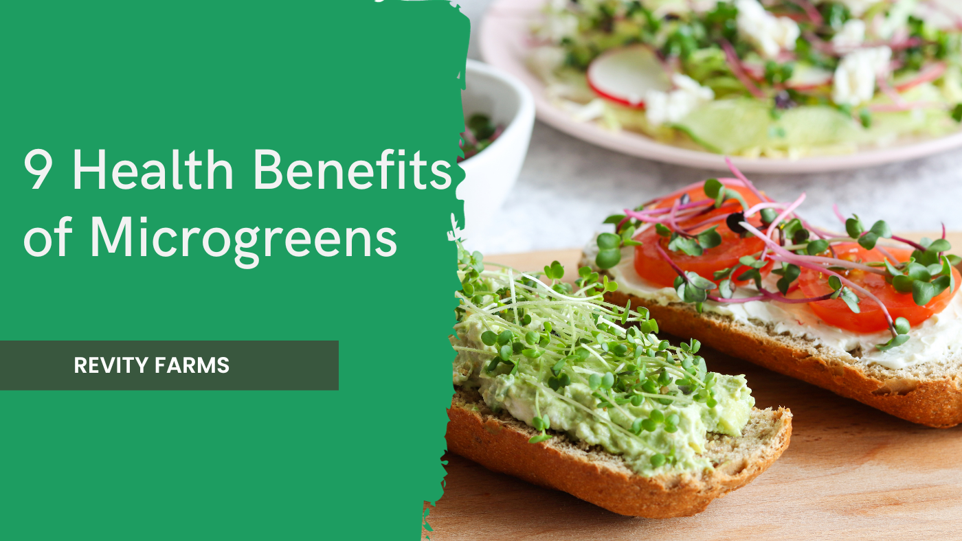 9 Health Benefits of Microgreens – Revity Farms